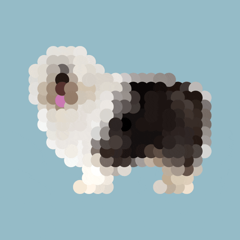 Panting Dog Animated Gif