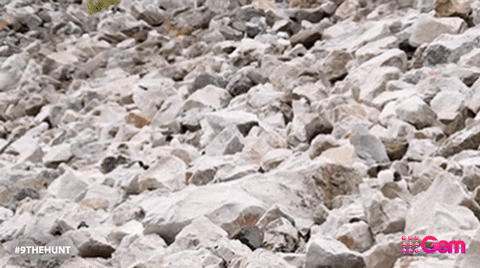 9Thehunt GIFs - Get the best GIF on GIPHY