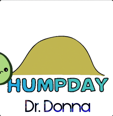 The Middle Of The Week GIFs - Get the best GIF on GIPHY