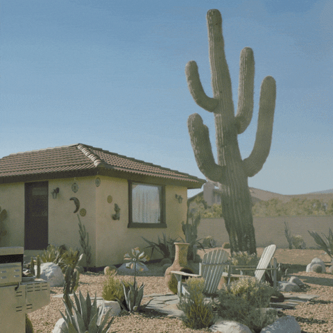 Break-the-house-down GIFs - Get the best GIF on GIPHY