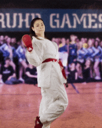 Karate Fight Gif