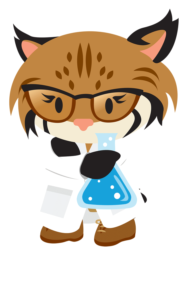 Cat Salesforce Sticker by AppExchange for iOS & Android | GIPHY