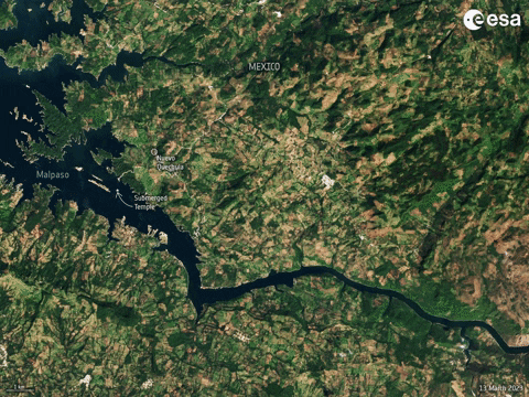 European-drought GIFs - Get the best GIF on GIPHY