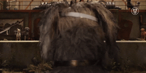 Dramatic Turn Gif