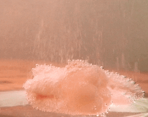 peroxide | Tag | PrimoGIF