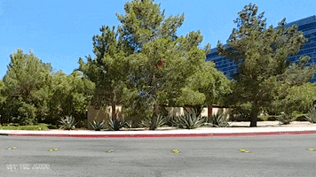 Ultimate Car Show GIFs on GIPHY - Be Animated