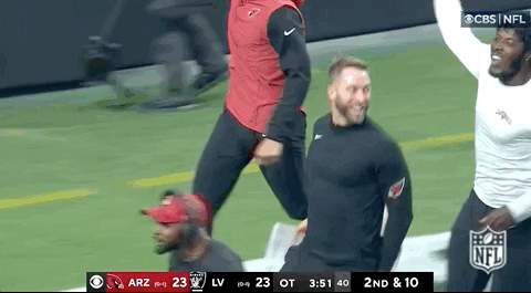 Arizona Cardinals Football GIF by NFL - Find & Share on GIPHY