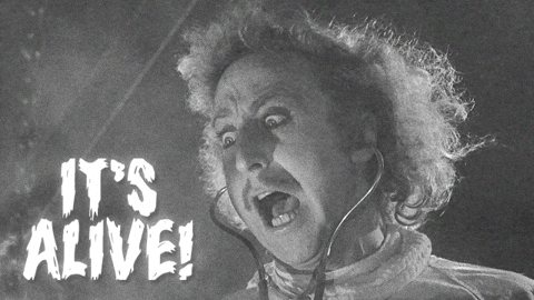 High Quality GIFs - Get the best GIF on GIPHY