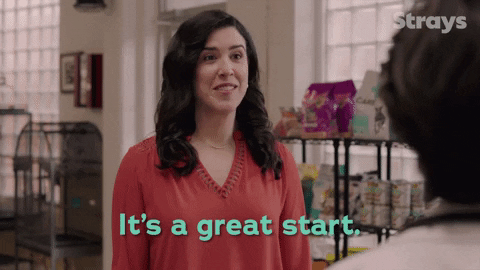 Great Start GIF by Strays - Find & Share on GIPHY