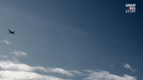 Flying On My Way GIF by Great Big Story - Find & Share on GIPHY