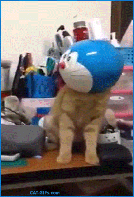 Doraemon GIFs - Get the best GIF on GIPHY