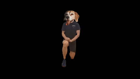 Redfield GIFs on GIPHY - Be Animated