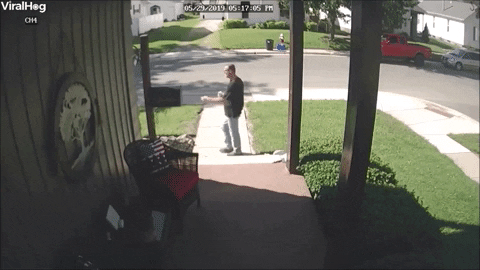 Prank Mailbox GIF by ViralHog - Find & Share on GIPHY
