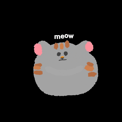 Cat Meow GIF - Find & Share on GIPHY