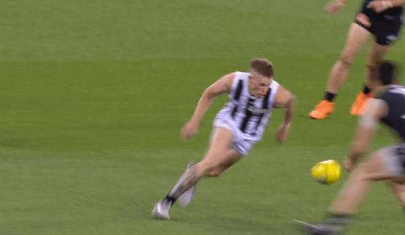 Football Gtfo GIF by CollingwoodFC - Find & Share on GIPHY