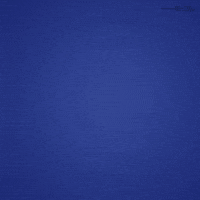 Woah Reaksjon Gif Woah Surprised GIFs | Tenor