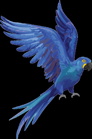 Macaw GIF by Fundação Grupo Boticário - Find & Share on GIPHY
