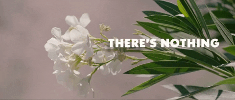 Theres Nothing Left To Say GIFs - Get the best GIF on GIPHY