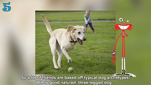 Three-legs GIFs - Get the best GIF on GIPHY