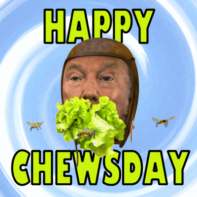 Tuesday Morning Trump GIF - Find & Share on GIPHY