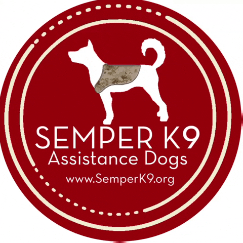 Semper K9 GIF - Find & Share on GIPHY