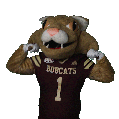Boko the Bobcat GIFs on GIPHY - Be Animated