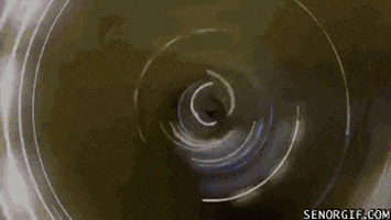 Spinning GIF by Cheezburger - Find & Share on GIPHY