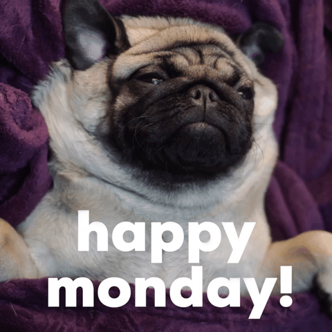 Happy Monday Dog Images