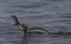 Hybrid Hive: Eat Shard? (Worm/MGLN) (Complete) Crossover | Page 262 | Sufficient Velocity