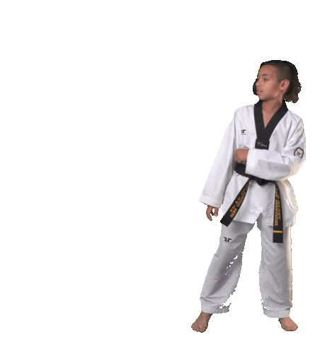 Leveluptaekwondo GIFs on GIPHY - Be Animated