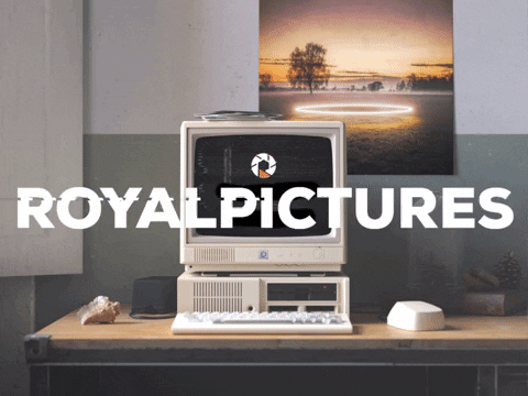 RoyalPictures GIFs on GIPHY - Be Animated