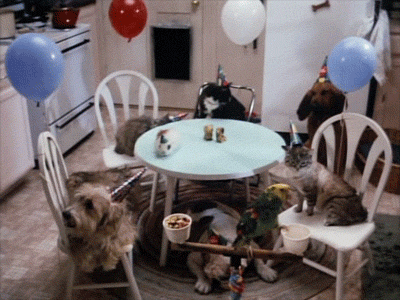 The Greatest Party On Earth GIFs - Get the best GIF on GIPHY