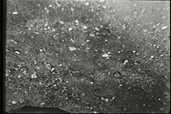 Minks GIFs - Get the best GIF on GIPHY