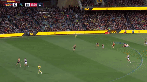 Round 20 Afl GIF by Adelaide Crows - Find & Share on GIPHY