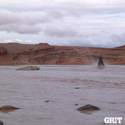 Riding-horse-through-water GIFs - Get the best GIF on GIPHY