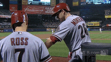 Arizona Diamondbacks Baseball GIF by MLB - Find & Share on GIPHY