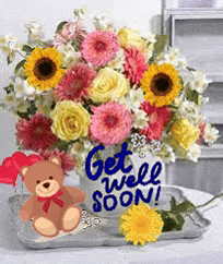 Grow Get Well Soon GIF by The SOL Foundation - Find & Share on GIPHY