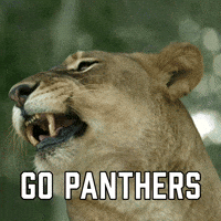 Nhl-panthers GIFs - Get the best GIF on GIPHY