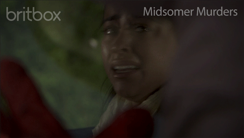 Midsomer Murders No GIF by britbox - Find & Share on GIPHY