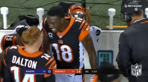 Cincinnati Bengals Football GIF by NFL - Find & Share on GIPHY
