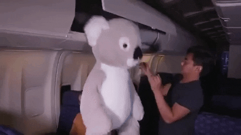 People On The Plane GIFs - Get the best GIF on GIPHY