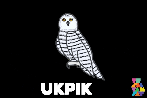 Owl Gif Funny