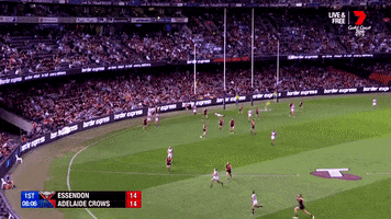 2018 Season Football GIF by AFL - Find & Share on GIPHY