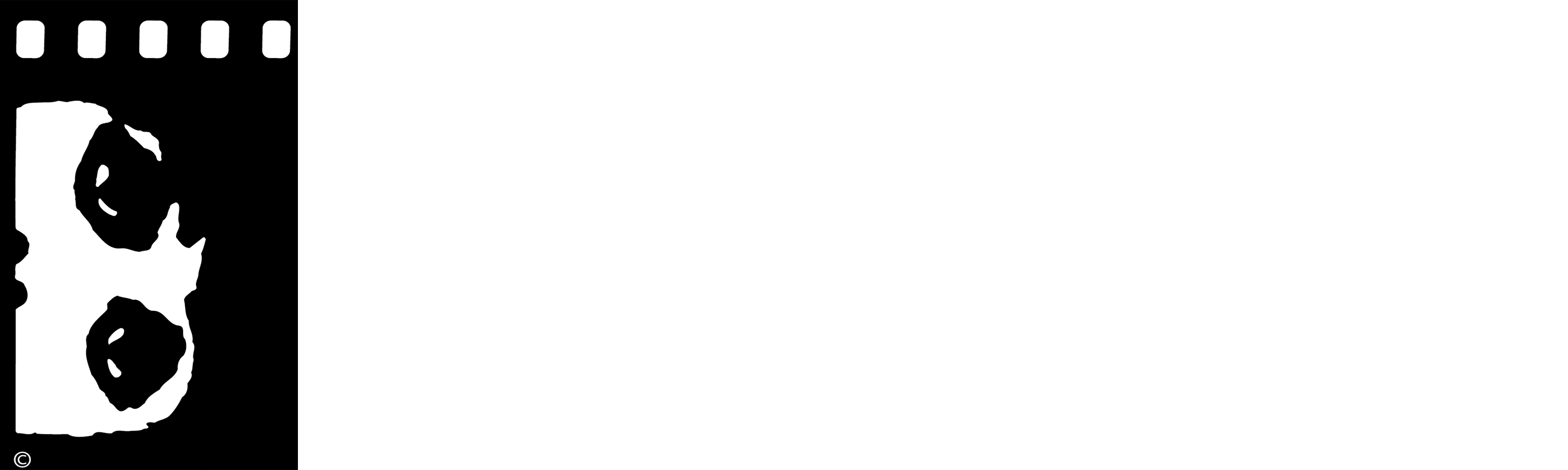 Chicago International Film Festival Logo