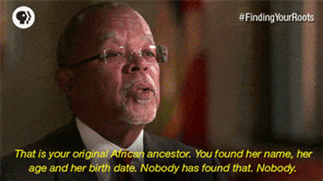 Finding Your Roots GIFs - Get the best GIF on GIPHY
