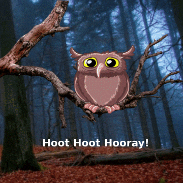 Hoot-hoot GIFs - Get the best GIF on GIPHY