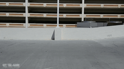 212 Performance GIFs - Get the best GIF on GIPHY