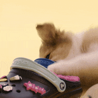 Croc's who has them. | MotorhomeFun