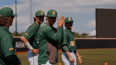 Baseball 2025 GIFs on GIPHY - Be Animated