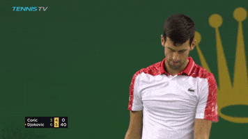 Best of Novak Djokovic GIFs on GIPHY - Be Animated